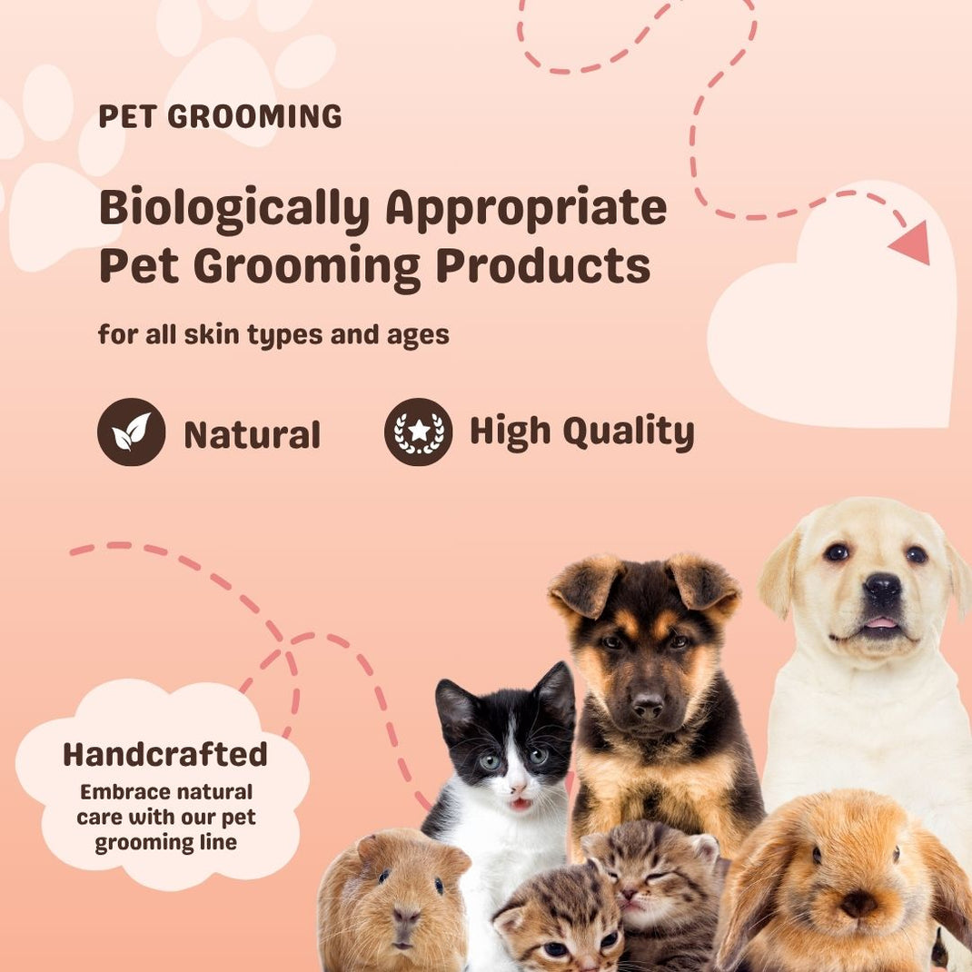 Squeaky Chew Rope Plush Dog Toy – Furry Garden Co