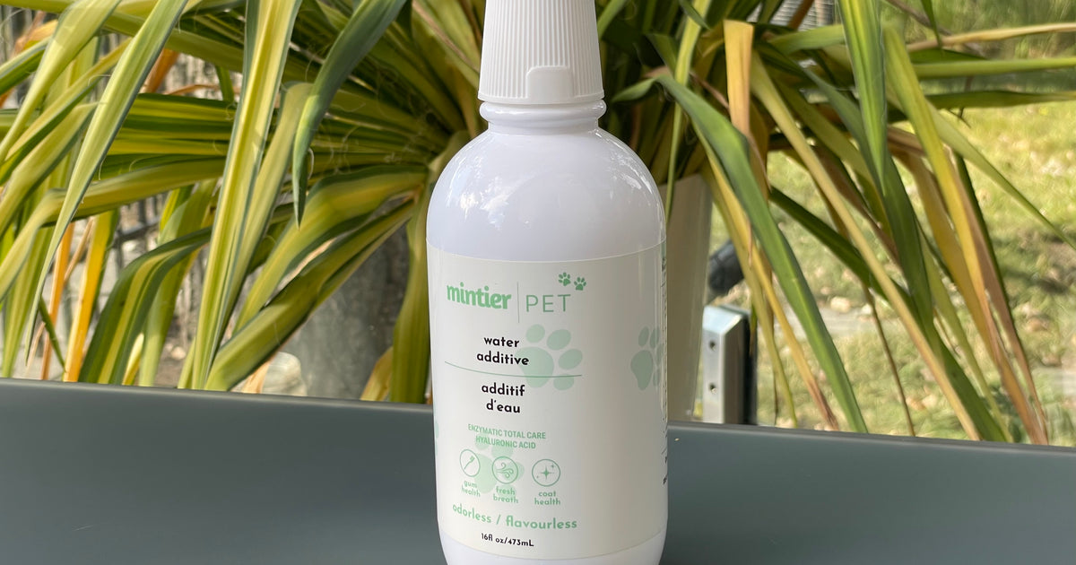 Pet Water Additive with Hyaluronic Acid – Furry Garden Co